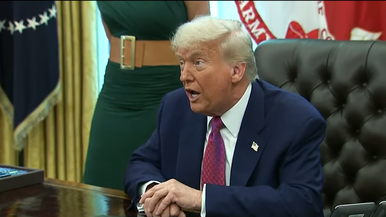 'These Are Paid Troublemakers': Donald Trump Embarrasses Himself ...