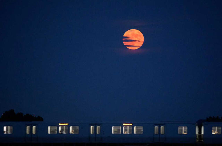 Strawberry moon will bring bright sky show: When to watch