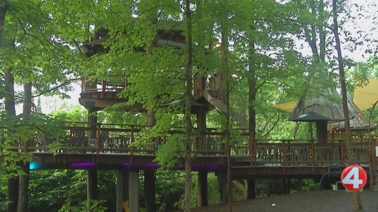 New season brings new fun to Blueberry Treehouse Farm