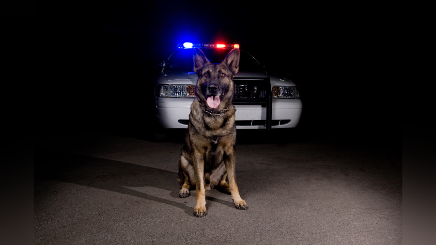 Alabama law authorizes emergency care and transport for police K9s