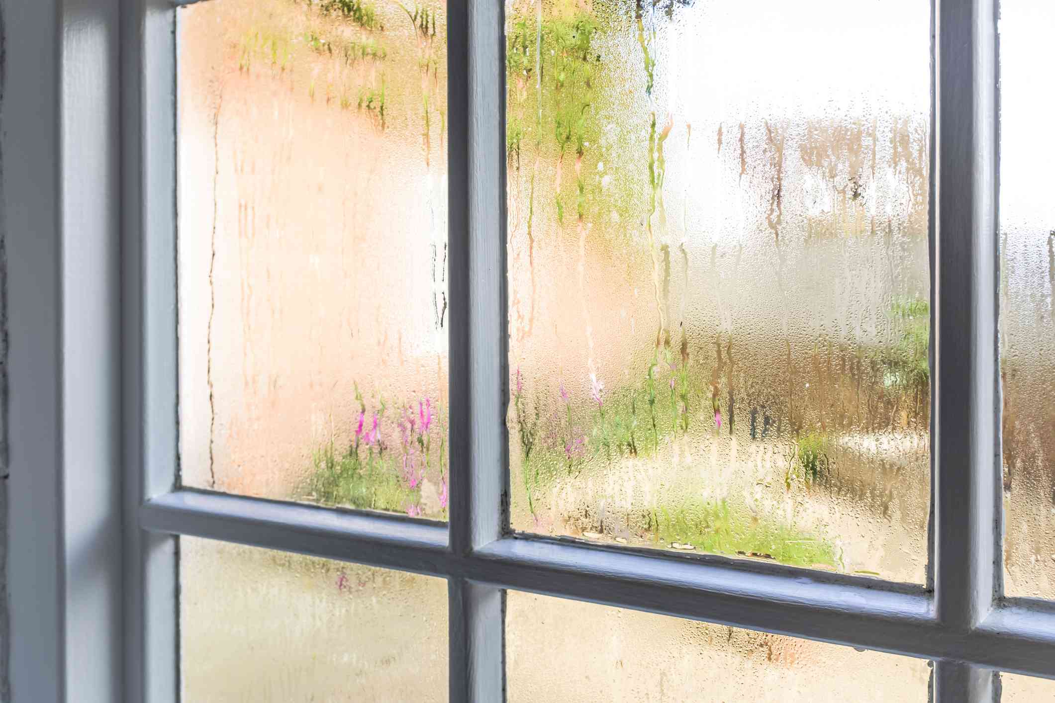 Why Are My Windows Fogging Up in Summer? 7 Signs It’s More Than Just ...