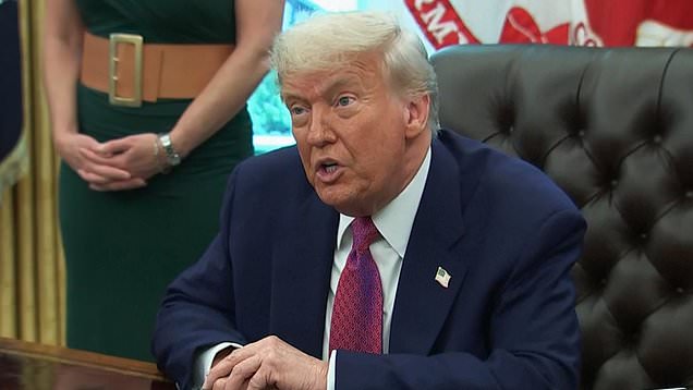 Trump responds to LA protesters as 'animals and paid troublemakers'