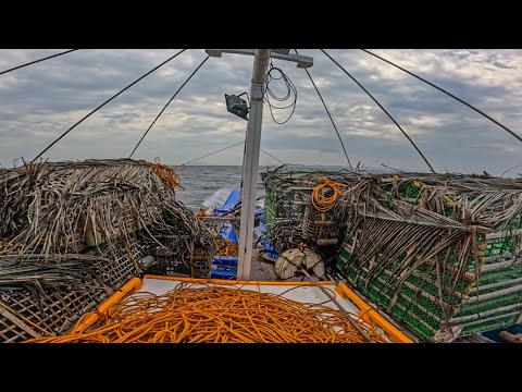 How we smoothly relocated our traps 🚤