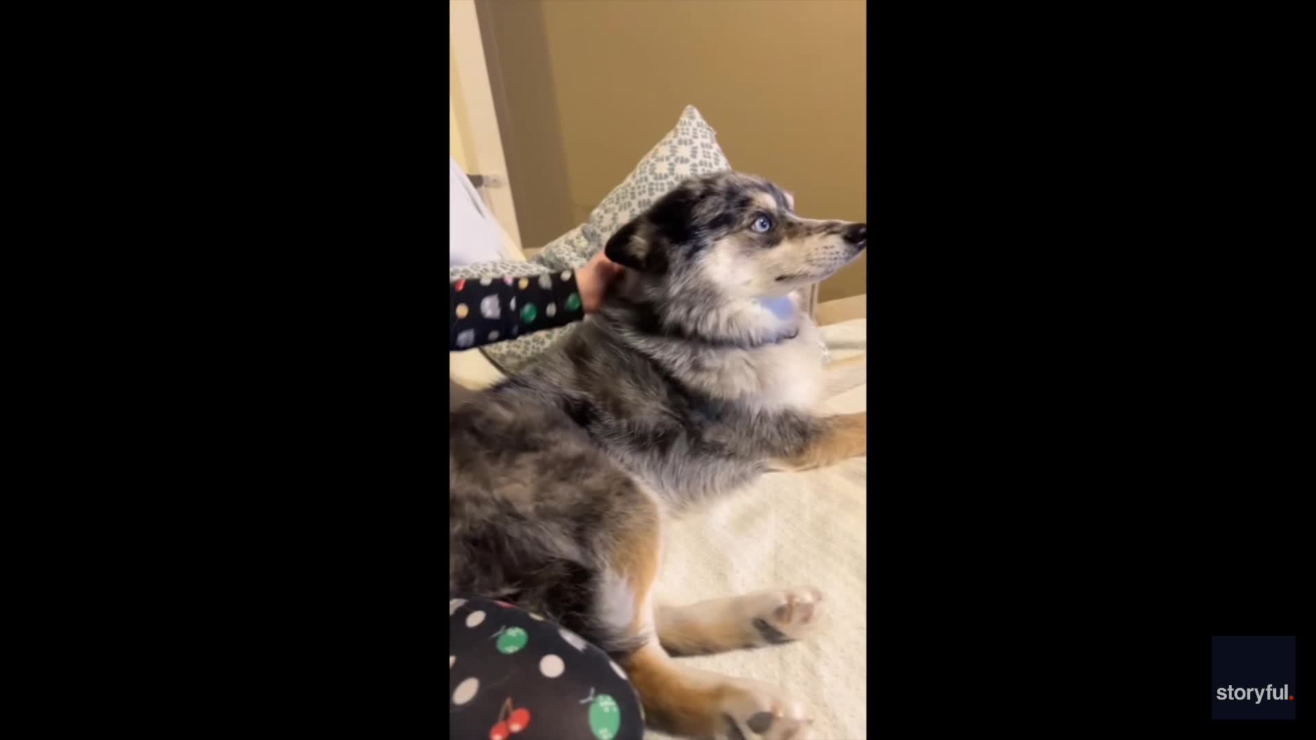 Toddler Mourns His Late Pet Dog in Quiet Moment Caught by Mom