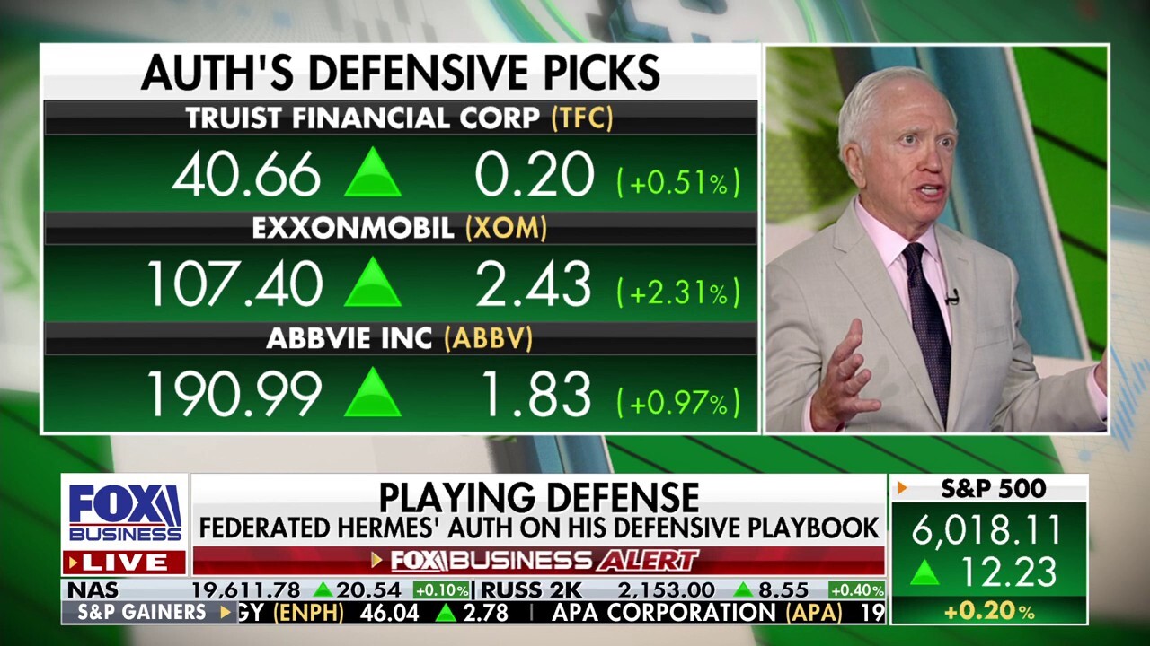 Federated Hermes CIO: These stocks will have a big bounce when economy ...