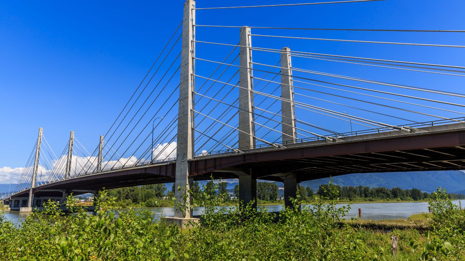 21 Canadian Suburbs That Offer City Perks Without the Stress