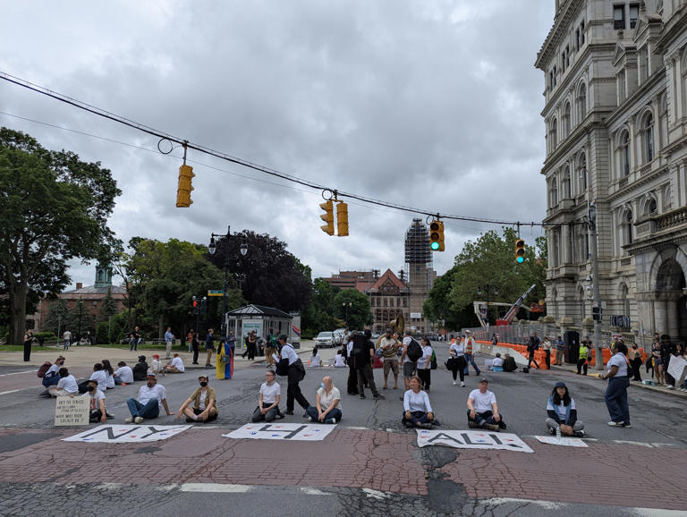 Voices rise at Albany rally for New York for All Act