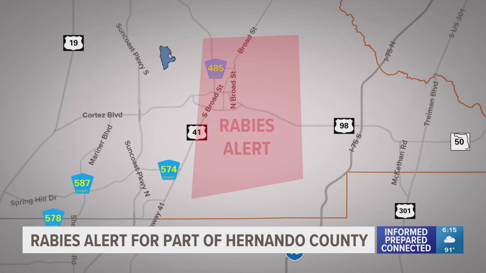 Rabies case confirmed in Hernando County