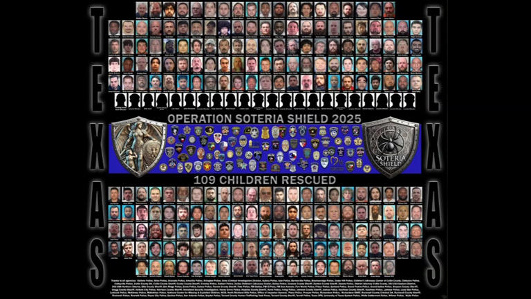 Joint operation in North Texas with FBI and local police lead to 244 offenders charged with sex ...