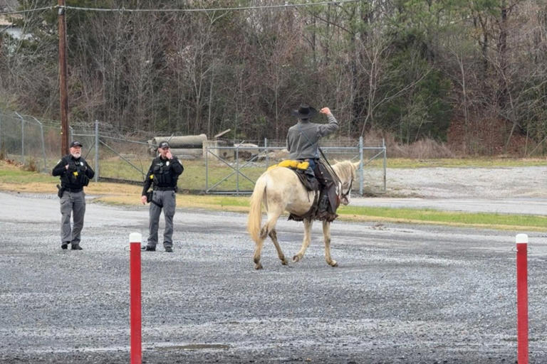 Kentucky man known as ‘Cowboy Cody’ released raccoon into packed ...