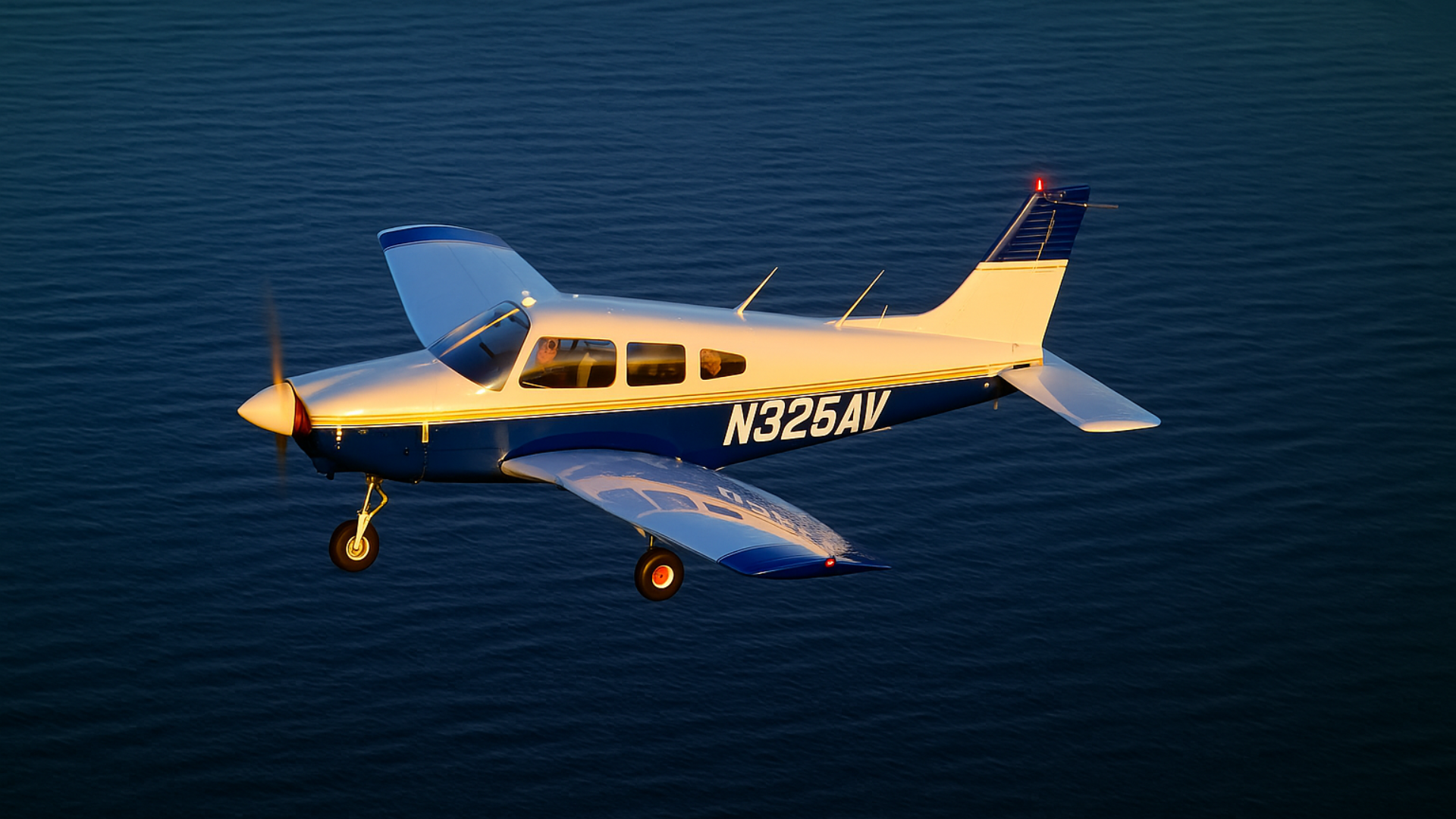 8K HDR Nature Tour | Dolby Vision & 120FPS Ultra Smooth Realism