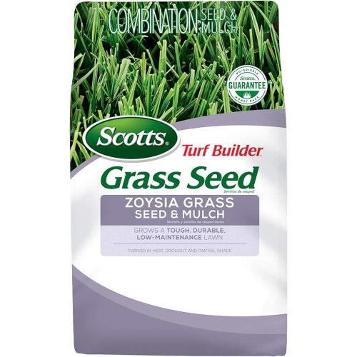 Is it too late to plant grass seed in June? The surprising answer from ...