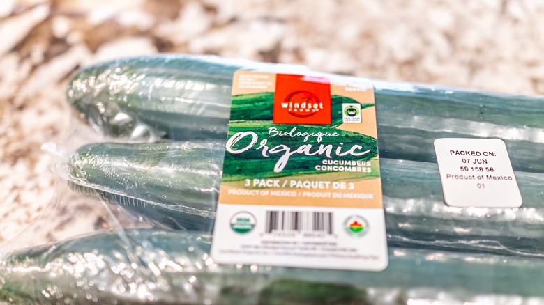 13 Cucumber Varieties You Might Not Know About