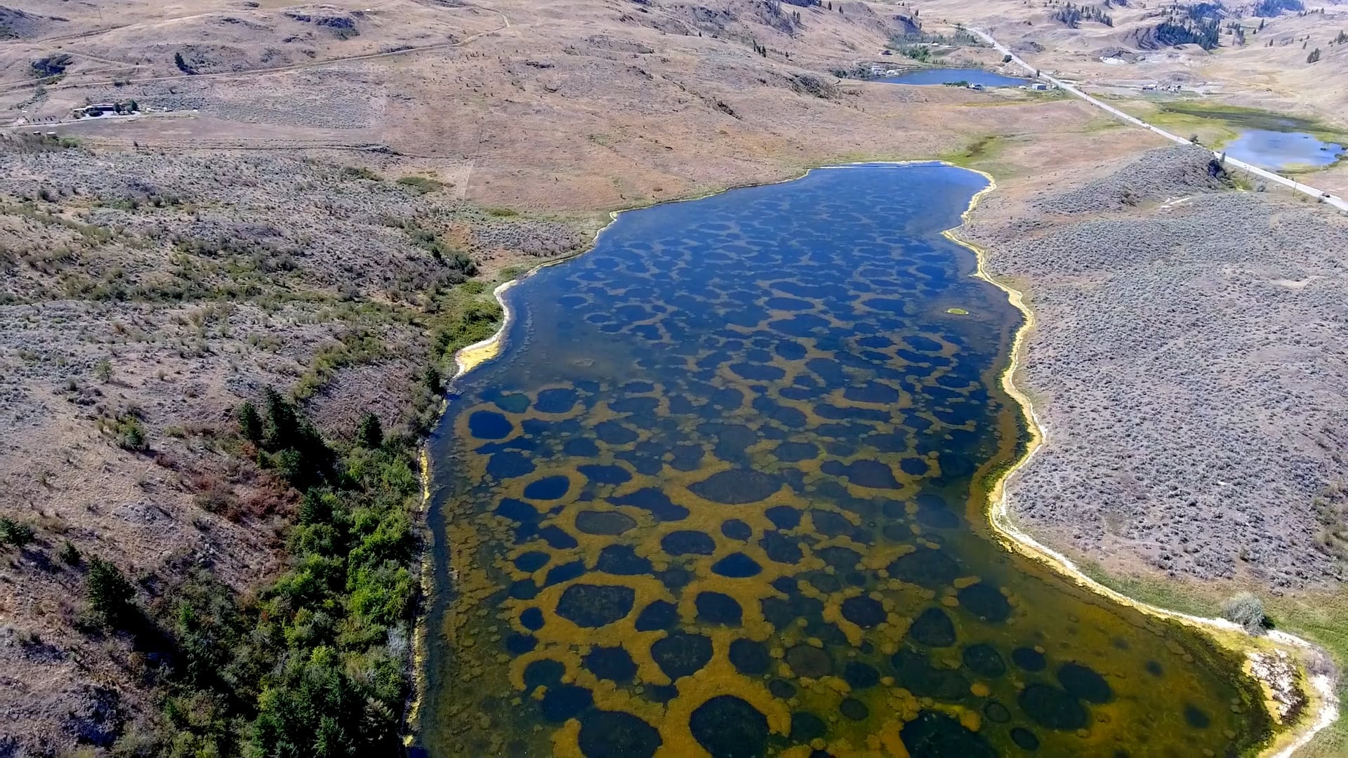 Syilx Nations hellige sted: Luftfoto af Spotted Lake