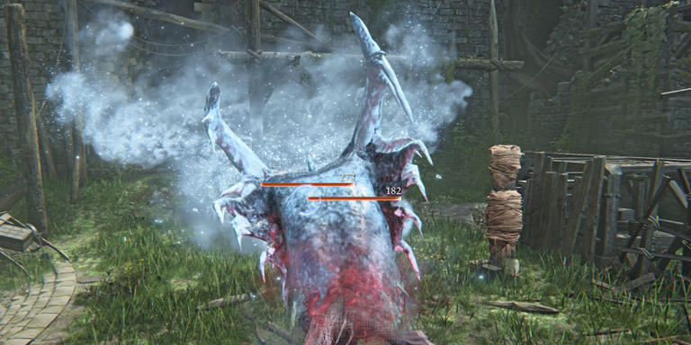 Best Weaknesses To Exploit In Elden Ring Nightreign