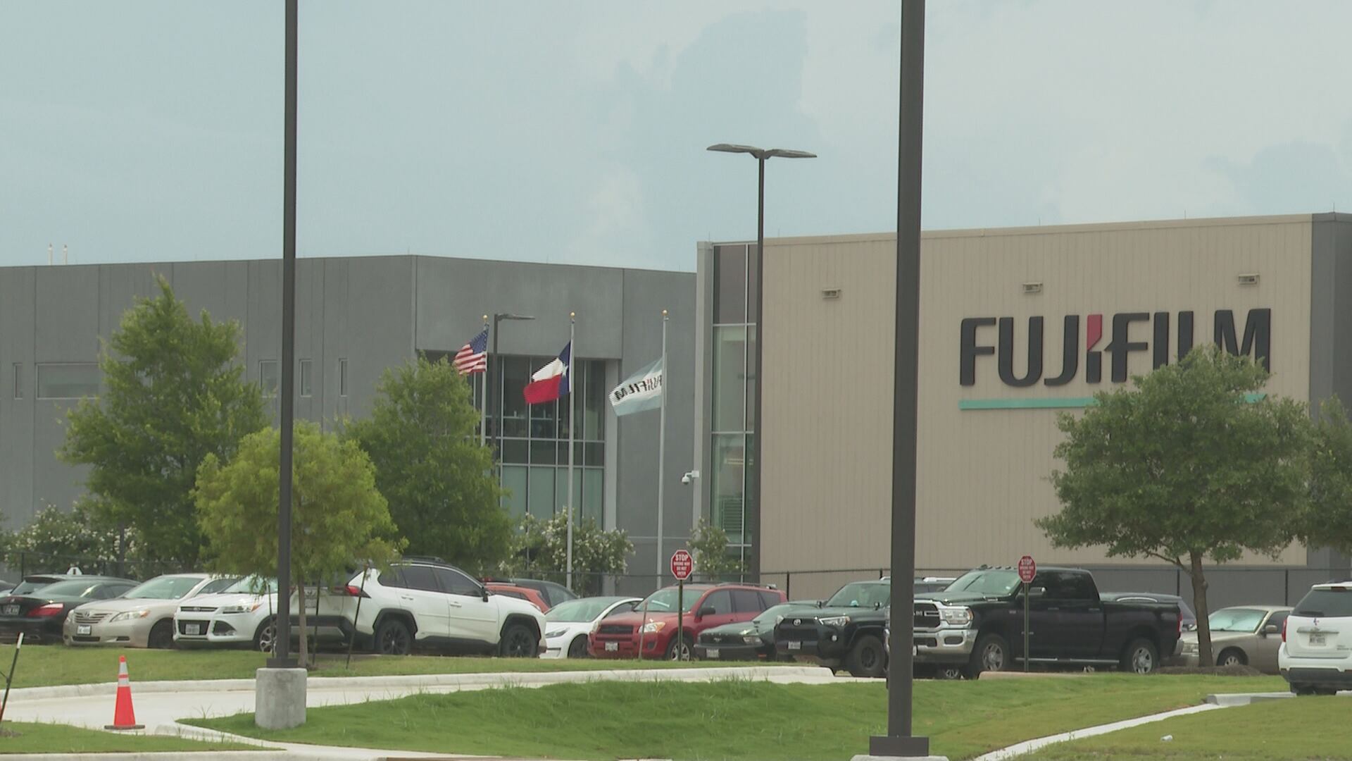 Global medicine and vaccine producer confirms layoffs at College ...