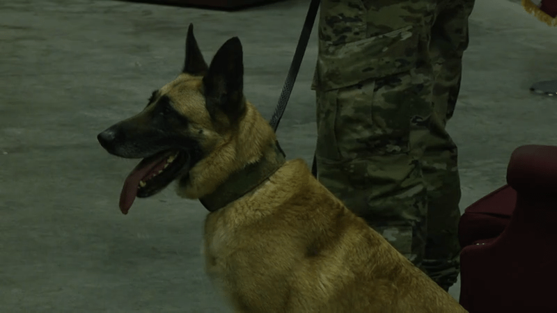 Military dog retires during special ceremony