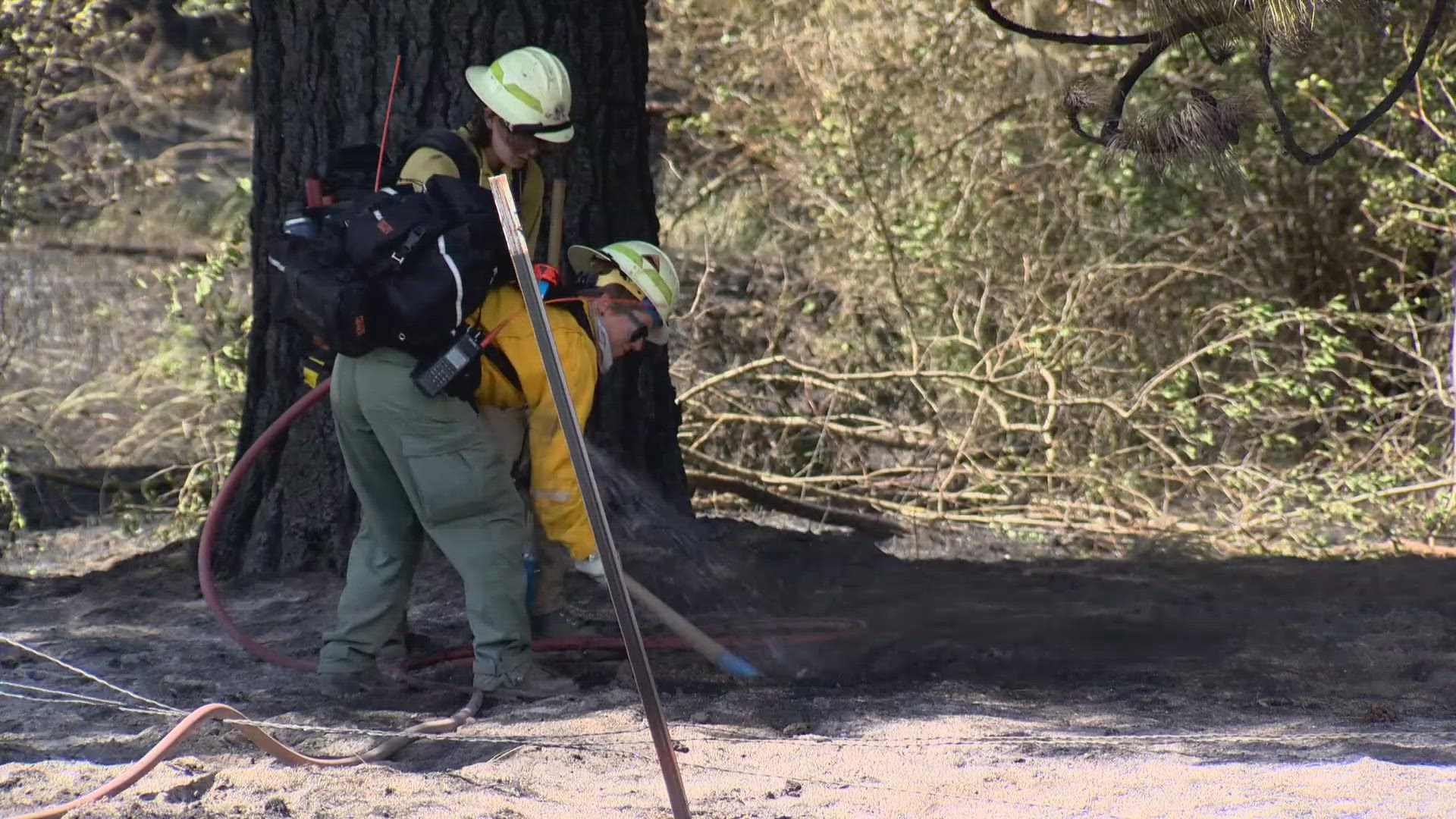 About 55 homes threatened by 'Red Bridge Fire'