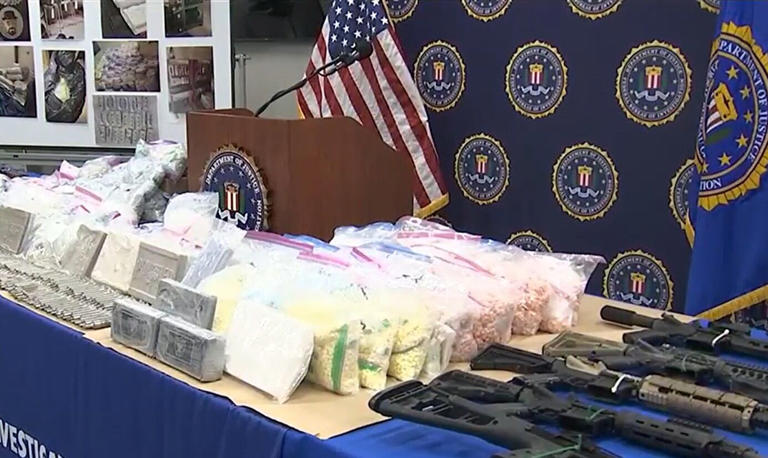 Cops seize enough drugs to kill 48M in top Ga. fentanyl bust