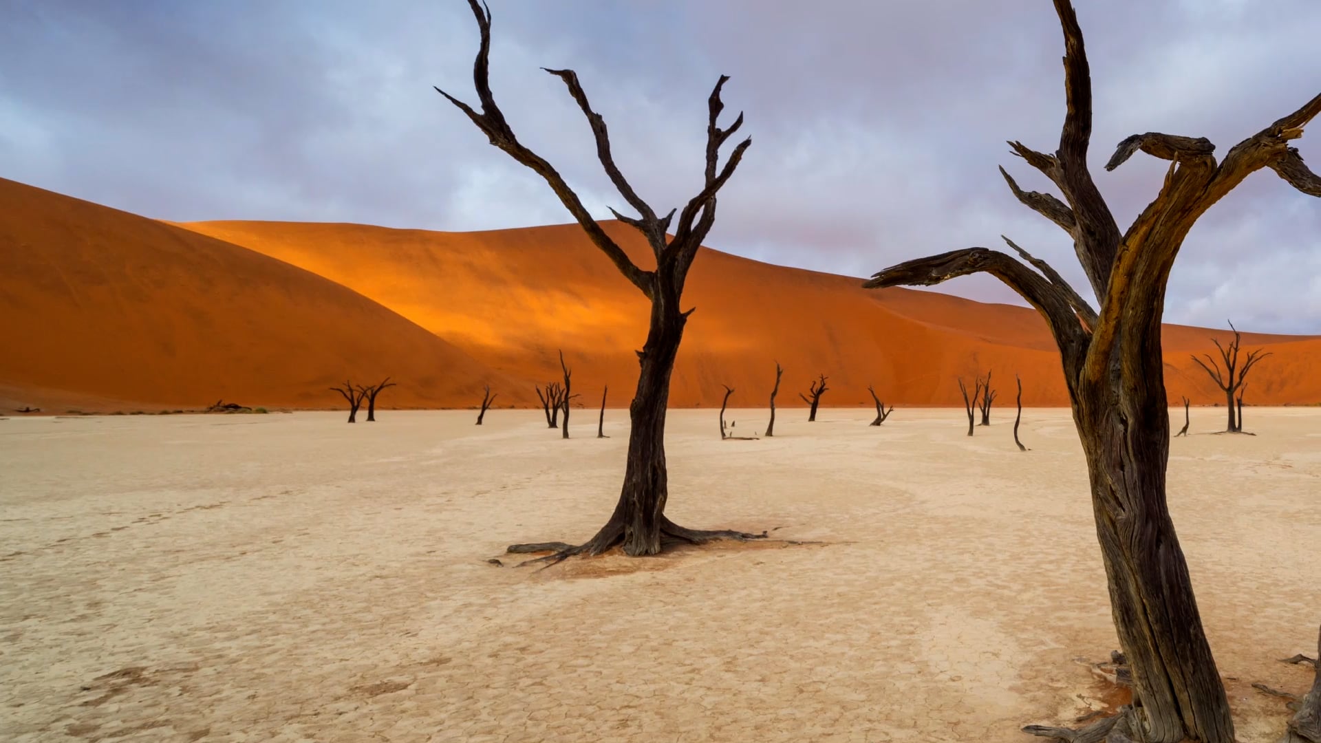 Deadvlei felülről: Namíbia időtlen természetes kárpitja Afrika