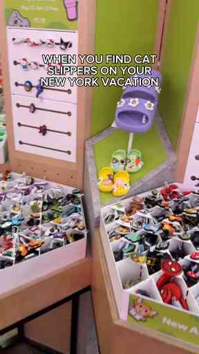 Cute Cat Reaction That Will Make You Smile