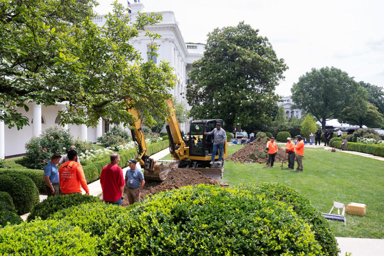 Trump Bulldozes the White House Rose Garden