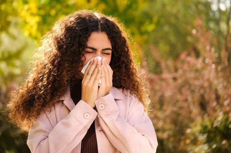 Hay fever sufferers urged to avoid 5 things amid 'very high' pollen alert