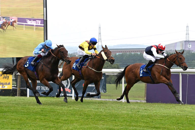 Copper Knight is fitting Pontefract winner on evening when legend Peter ...