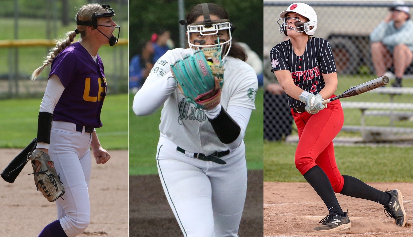 Chapman, Clapper, Endicott stand out above the rest as NJ Softball ...