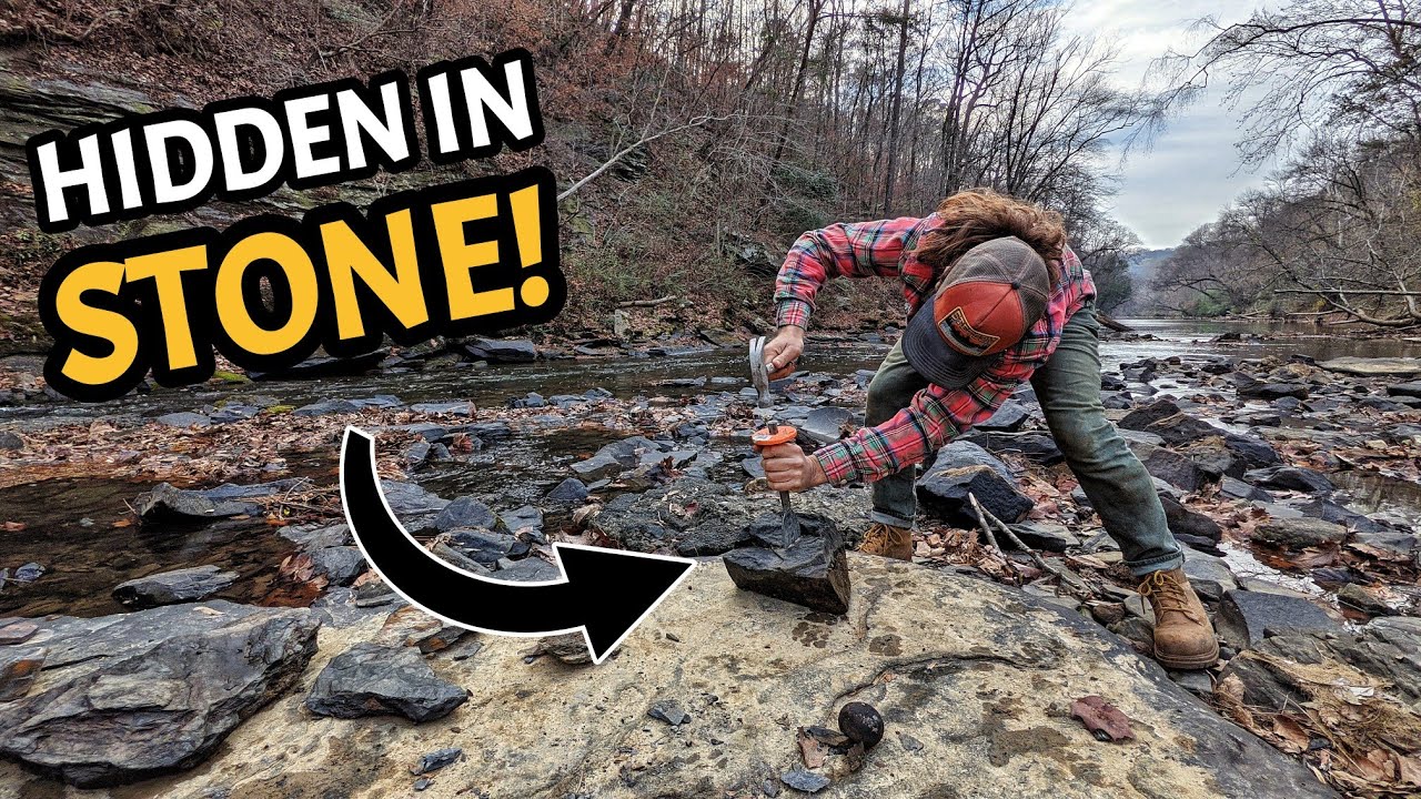 Walking in Prehistoric Alabama: 345 Million-Year-Old Rainforests