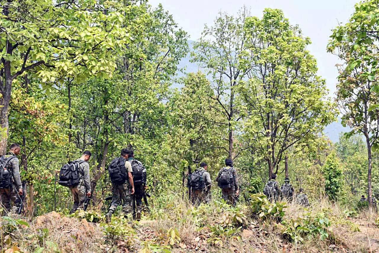 8 IPS officers in Chhattisgarh get new postings for anti-Naxal operations