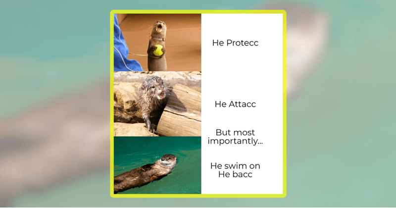 25 Wild Animal Memes for People Who Need a Paws From Civilization
