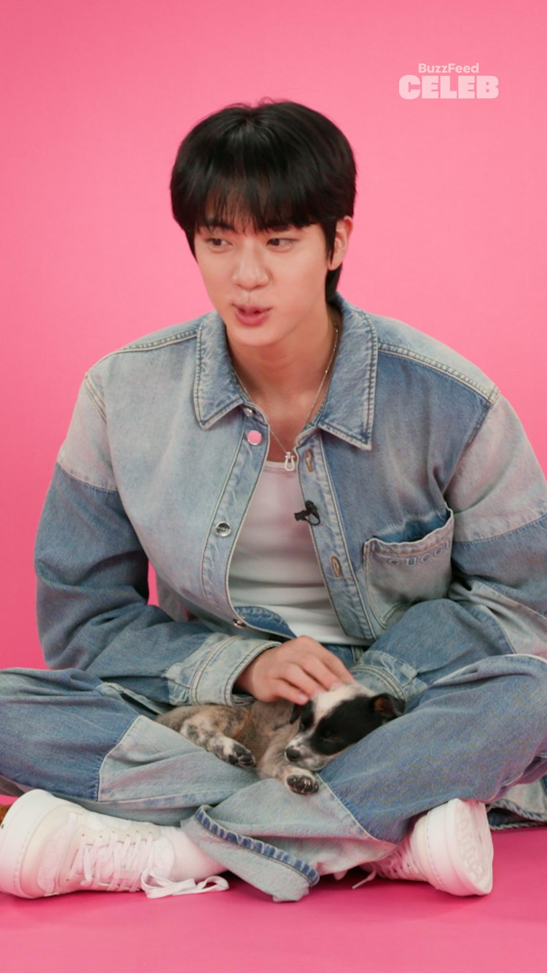 Jin (BTS) Puppy Interview | Dreams