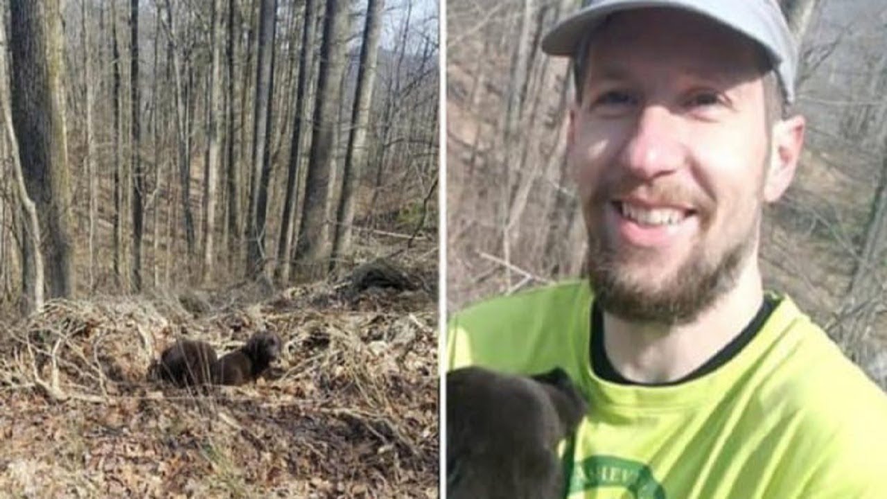 Runners Hear Strange Noise From The Woods When They Realise What It Is ...