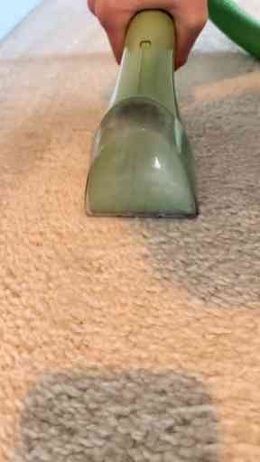 Daily Stains Try This Carpet Cleaning Hack & Save the Day