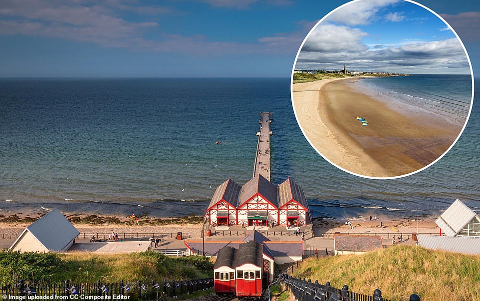 A paycheck for everyone?