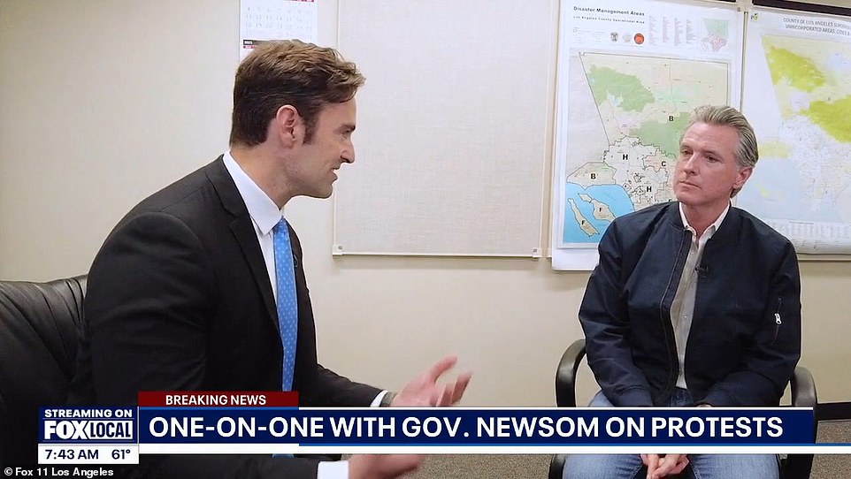 8 rare facts about the Russian blue cat