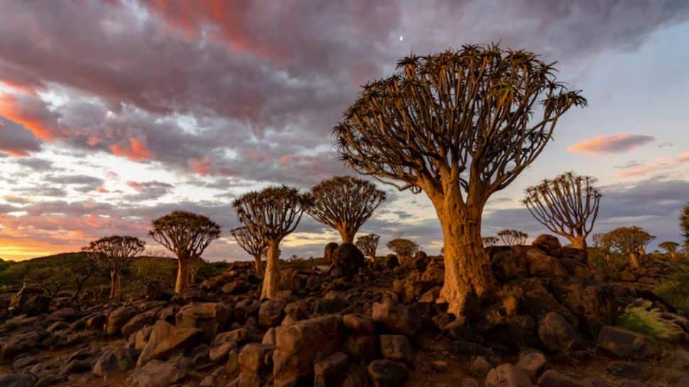 Explore These 10 Most Beautiful Countries In The World For Breathtaking ...