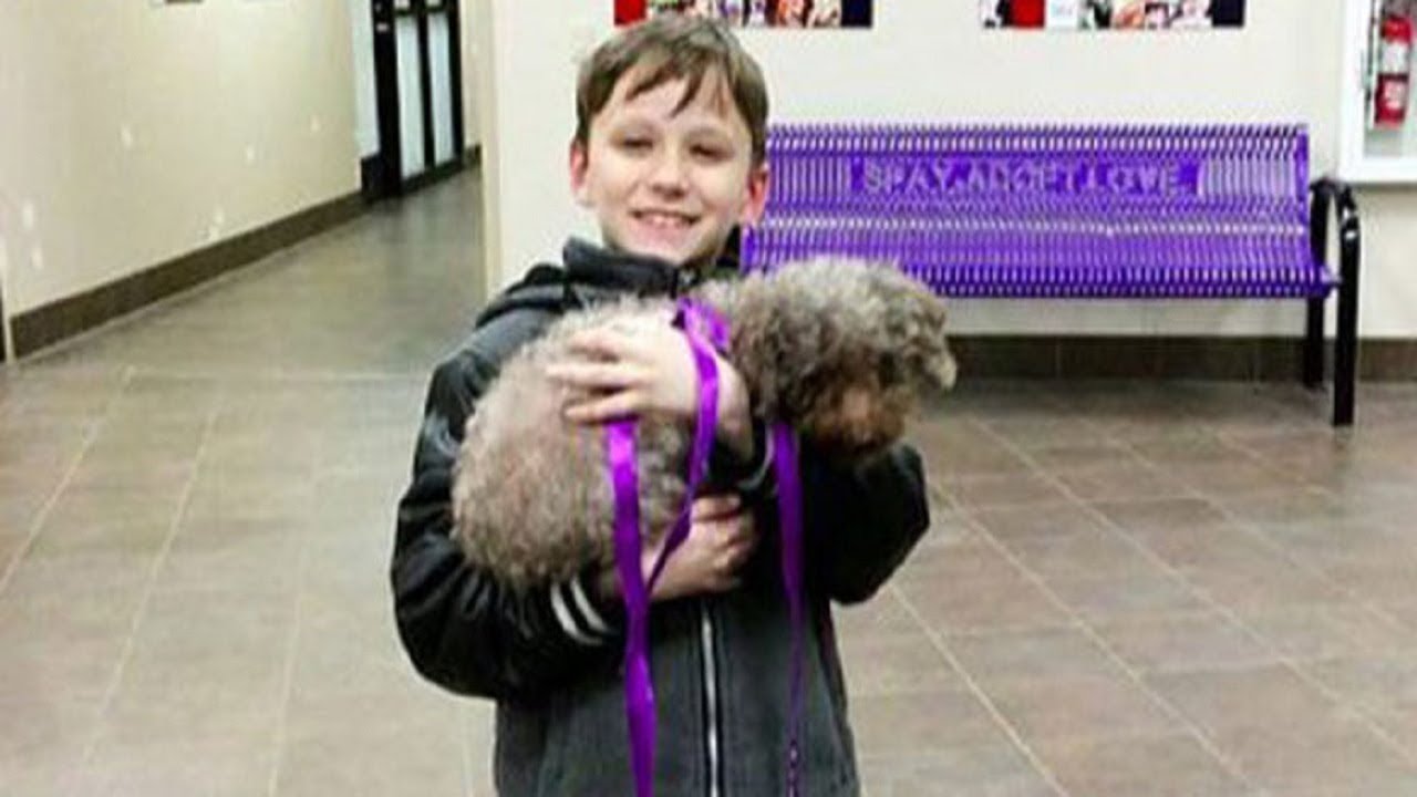 Little Boy Goes To Shelter And Adopts The Oldest Dog There