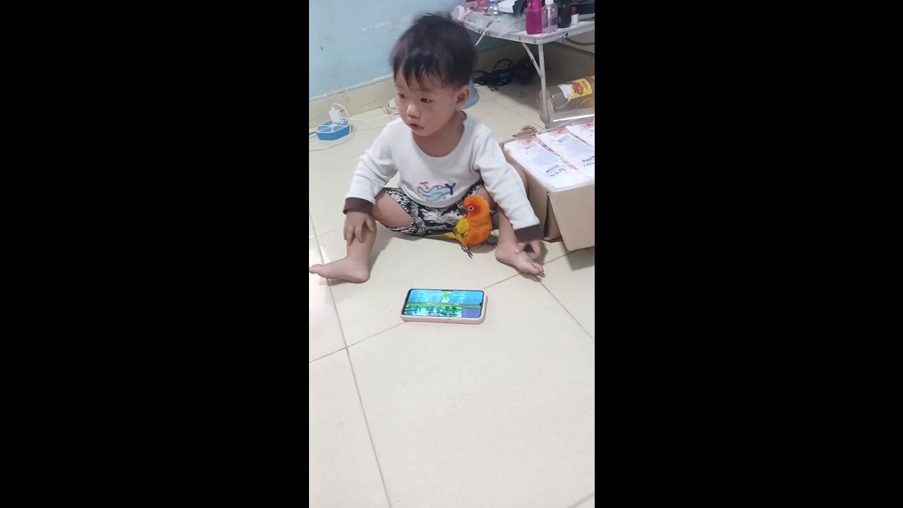 Pet parrot watches cartoons with best friend boy