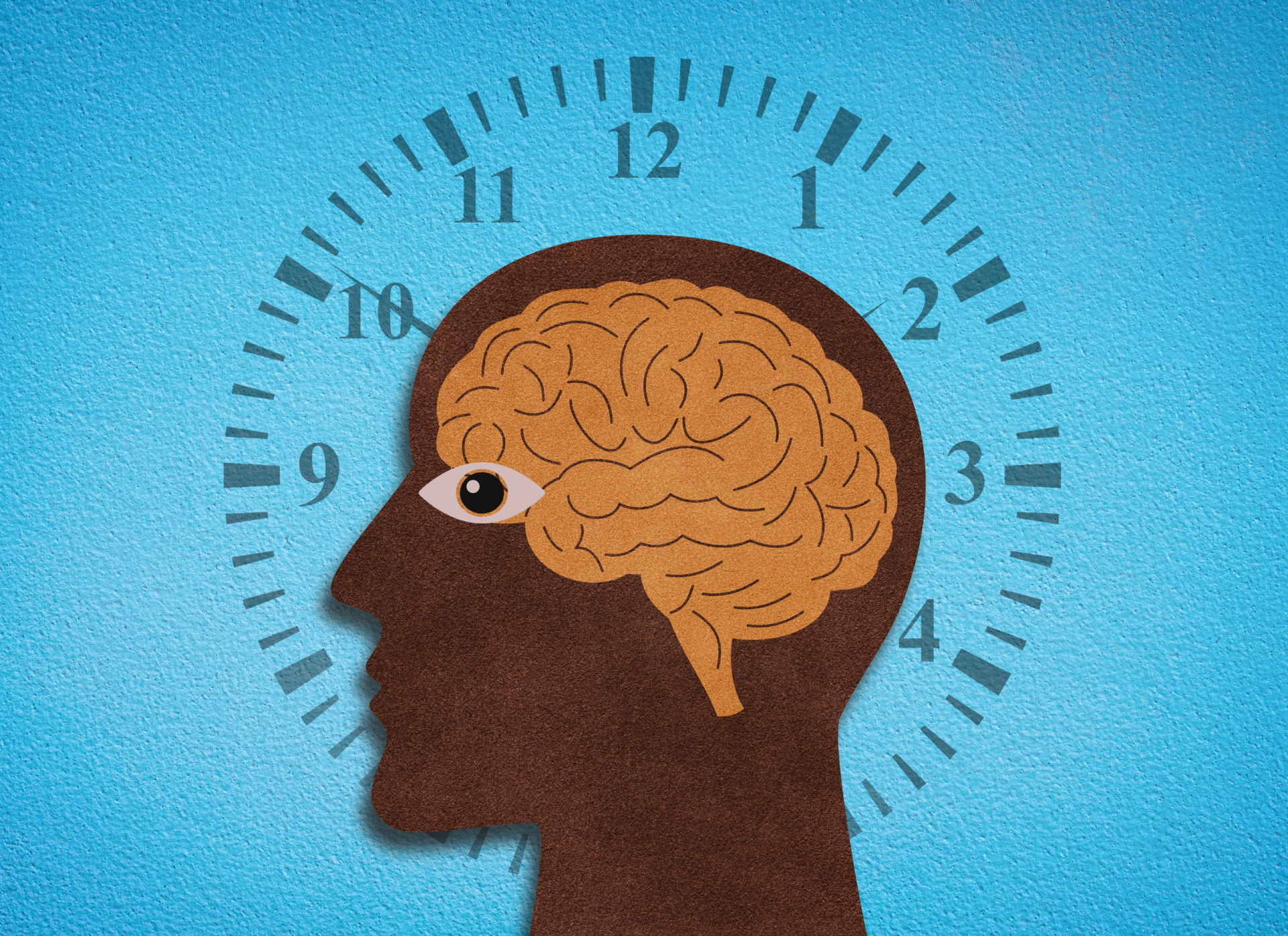 Chronobiology: the science behind our internal clocks