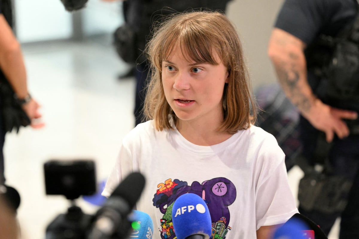 Greta Thunberg speaks out as she lands in France after 'dehumanising ...