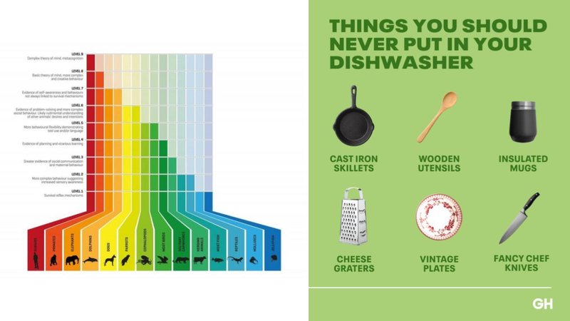 25 Interesting Infographics That Might Teach You Something Super Important
