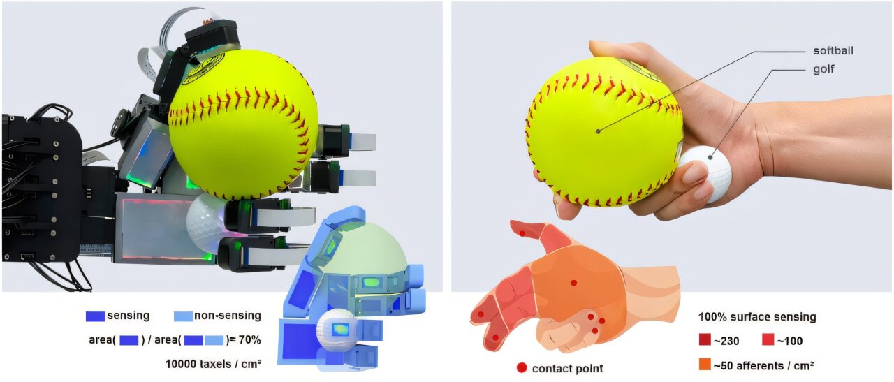 Bio-mimetic robotic hand seamlessly integrates tactile feedback to ...