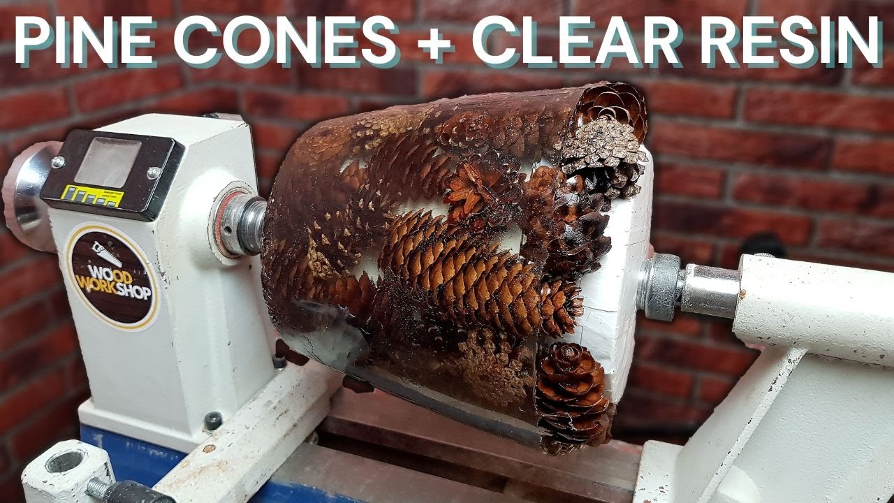 How this man made art from pine cones suspended in clear resin