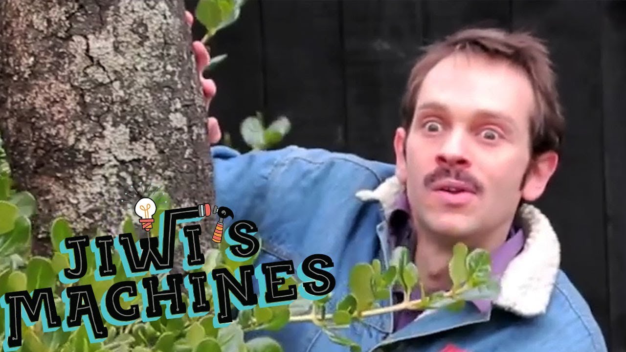 Balancing Act Jiwi’s Unexpected Discovery