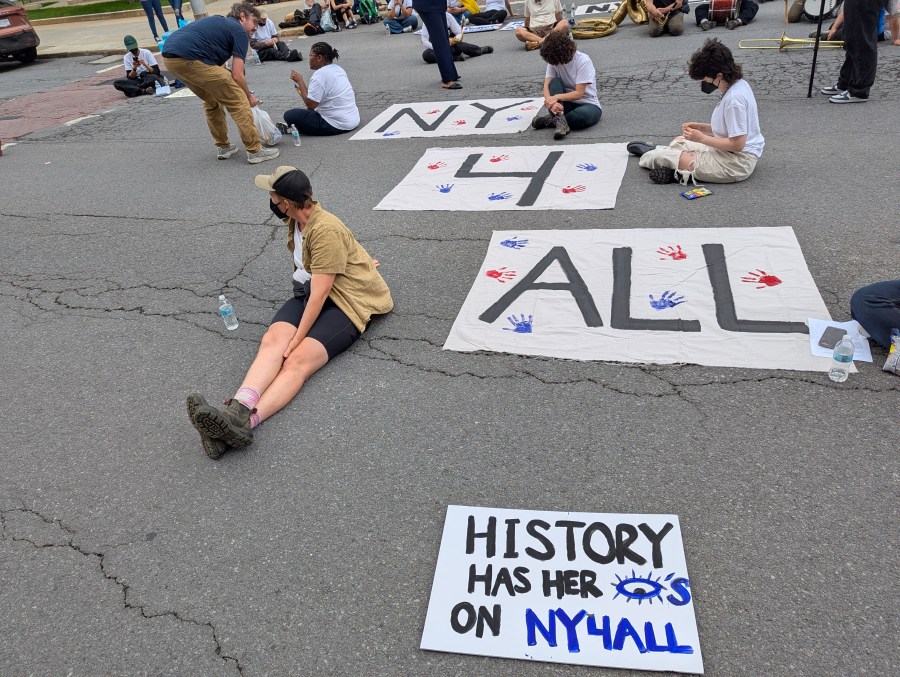 Voices rise at Albany rally for New York for All Act
