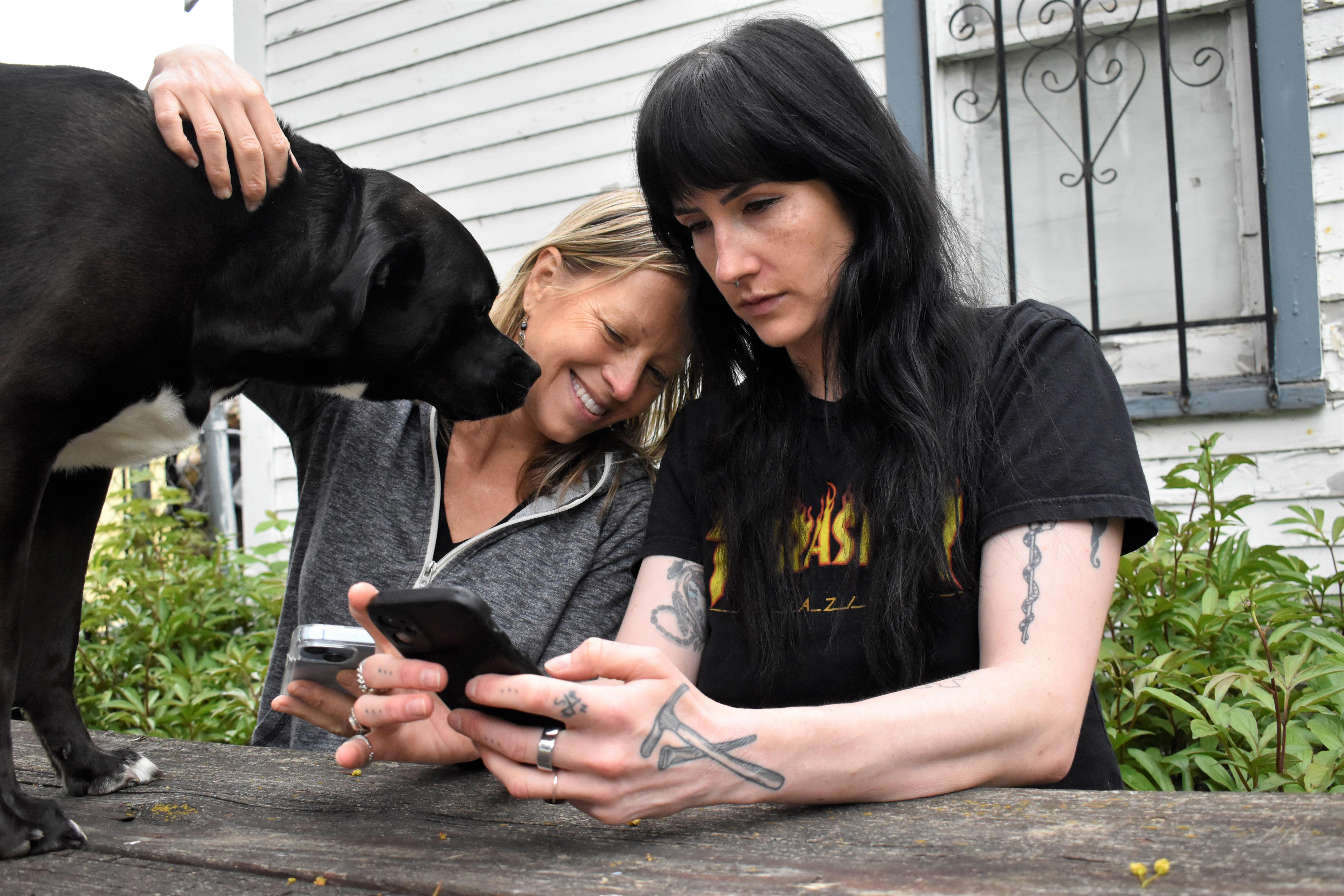 They thought their foster dogs went to a sanctuary. They were ...