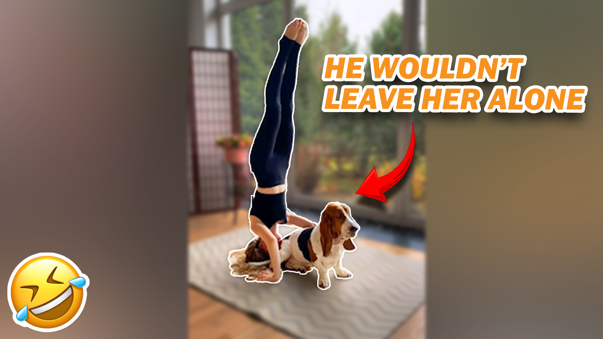 Random Funny Moment That’ll Make Your Day 😂 | Must-See Laugh Clip!