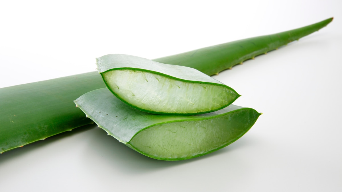 Itchy Skin? These 8 Natural Rash Remedies Actually Work